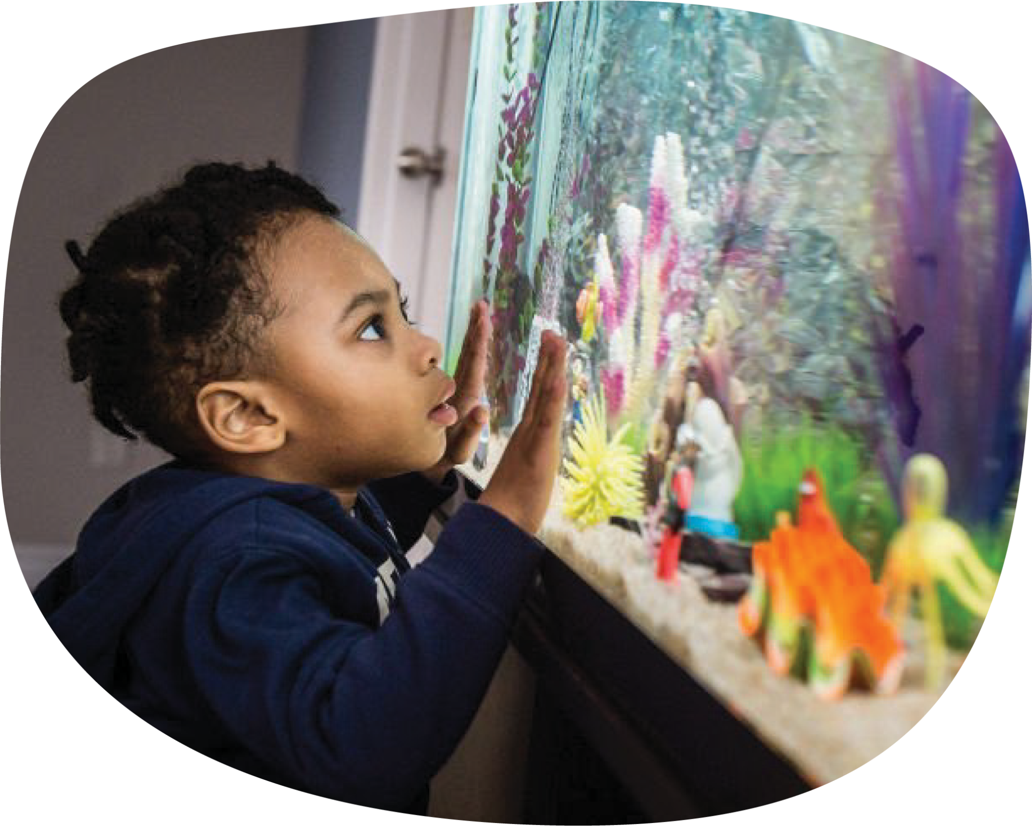 HOW AIM WORKS - Autism in Mind